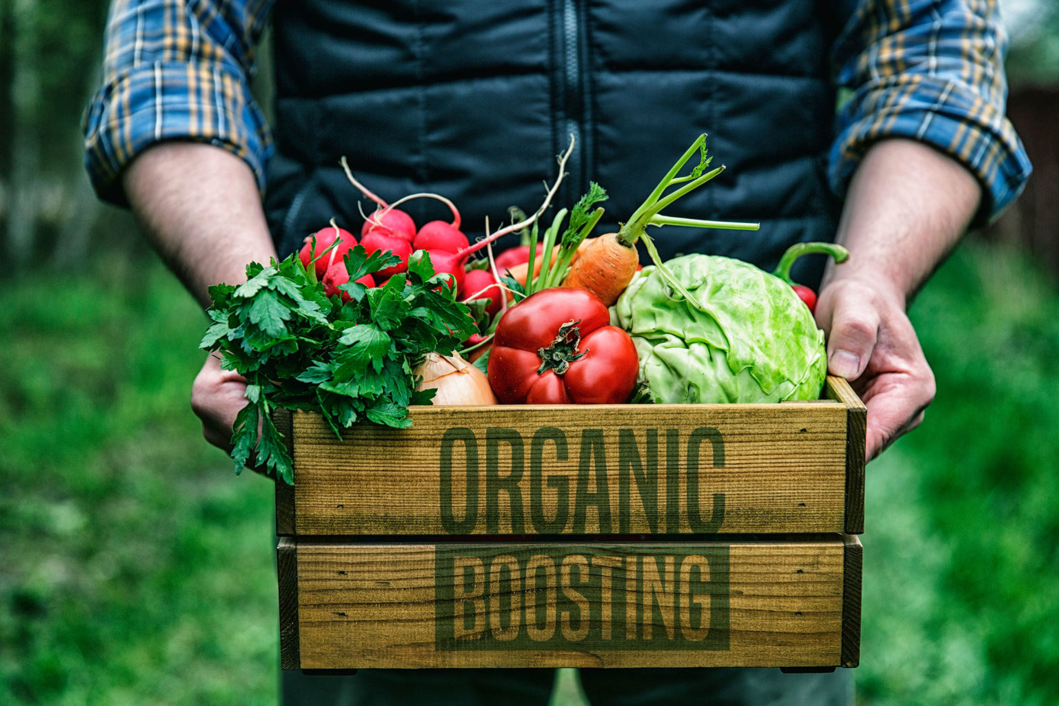 Organic Farming & Benefits on Health | Spanish Boosting