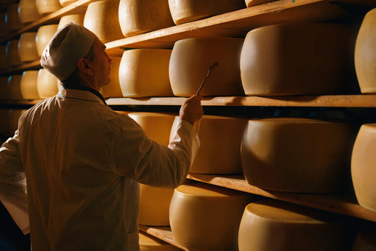 What is organic cheese and what are its advantages | Spanish Boosting