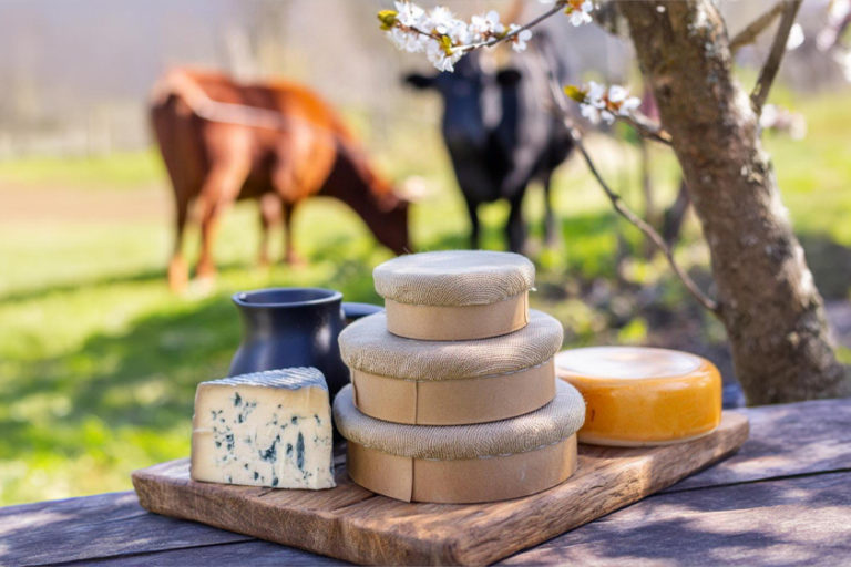 How Organic Cheese Is Made? | Spanish Boosting